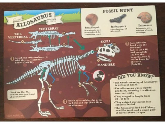 NEW YOU CAN Dig Dinosaur Fossils Epic Lab Science Kits FAST SHIPPING ...