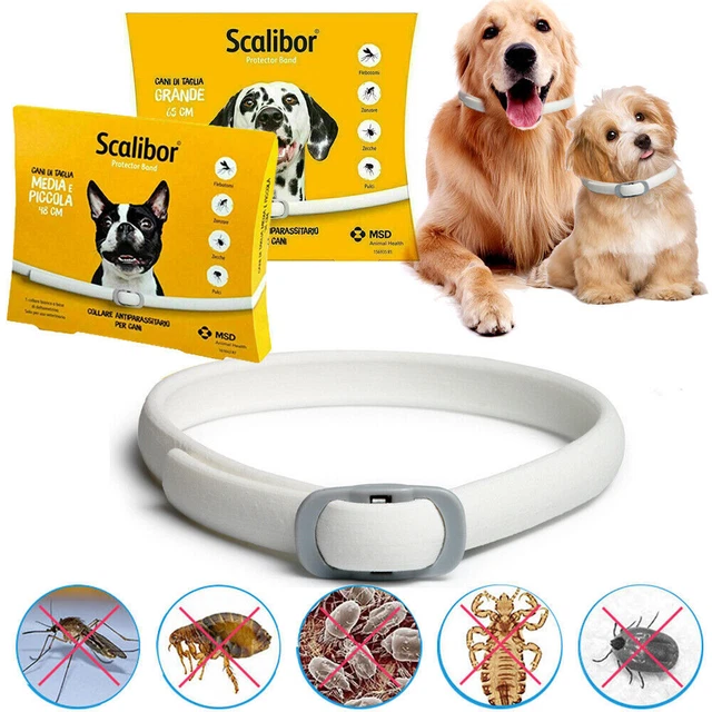 COLLIER ANTI-INSECTES-PUCES ET tiques protection 8 mois pour Chiens ou ...
