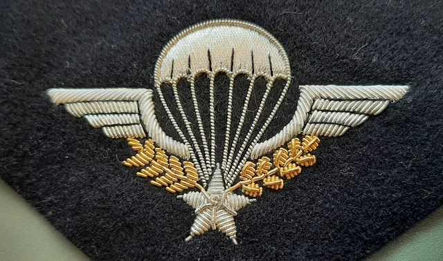 SUPERBE BREVET PARACHUTISTE brodé cannetille PARA LEGION REP ORIGINAL Patch EUR 69,99 - PicClick FR