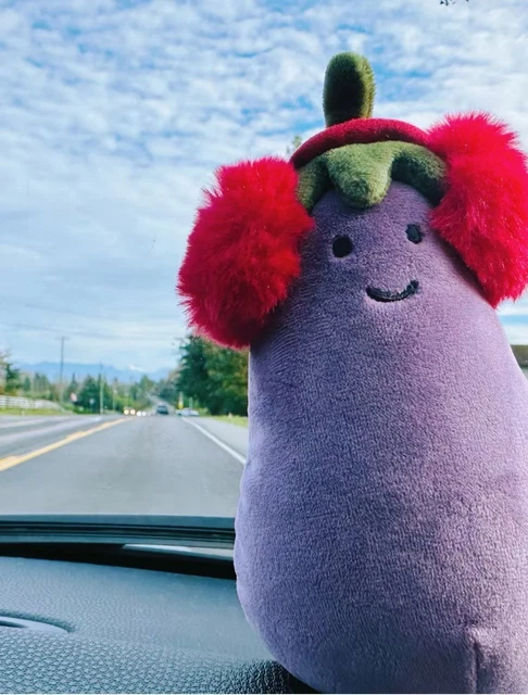 TOASTIE VIVACIOUS AUBERGINE Plush - Red/Yellow Earmuffs, NEW w/Tag&Bag ...