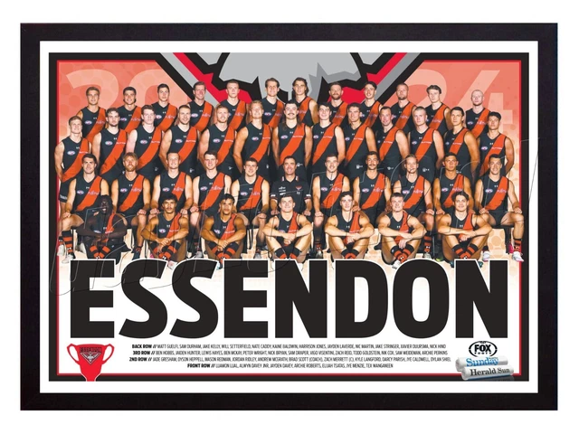 FRAMED 2024 ESSENDON Bombers AFL Poster - 45cm x 32cm x 3cm EUR 55,34 ...