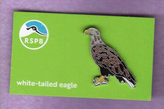 RSPB PIN BADGE - White-Tailed Eagle - 2023 New Logo Green Card - Free ...