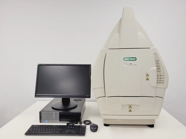 BIO-RAD MOLÉCULAIRE IMAGERIE Gel Doc XR + Universel Capuche II Système ...