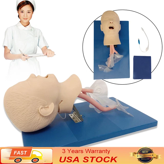 INTUBATION MANIKIN STUDY Teaching Training Model Airway Management ...