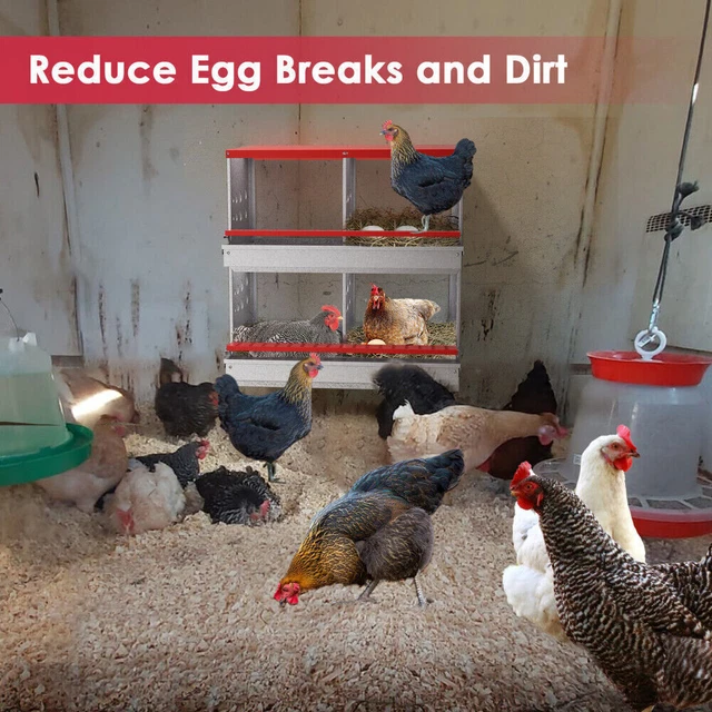 CHICKEN NESTING BOXES 3 Hole Egg Laying Box w/ Bar Cover Roll Out Egg ...