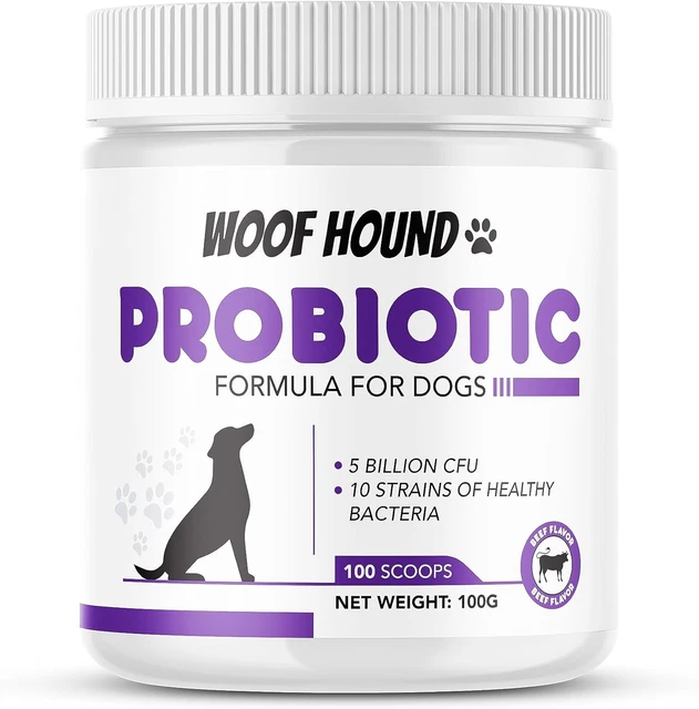NATURAL DOG PROBIOTIC Powder, 100G Beef Flavour, 5 Billion CFU ...