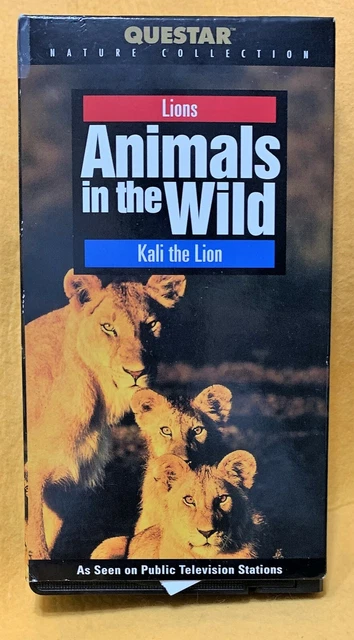 ANIMALS IN THE WILD. KALI THE LION. The Lion Queen. Excellent VHS tape ...