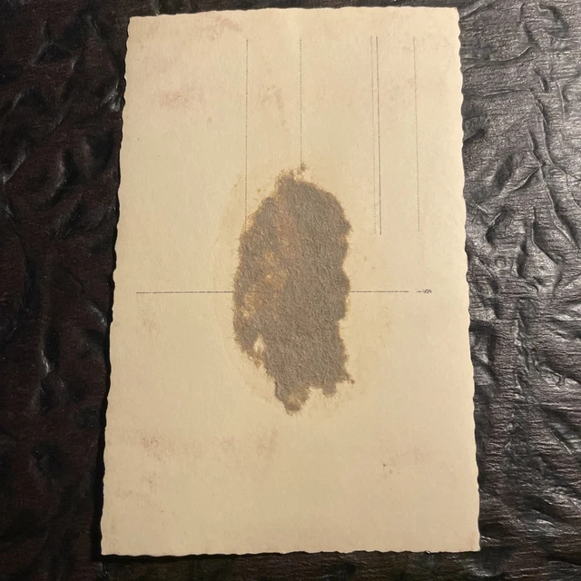 ORDEN AUSZEICHNUNG EHRENZEICHEN Wehrmacht Reichswehr 14x9 Original Foto ...