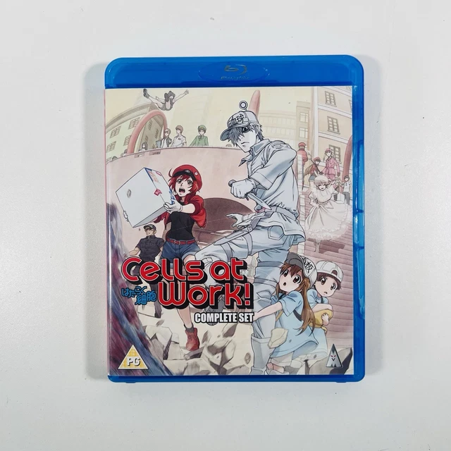 CELLS AT WORK!: Complete Set Collection [PG] Blu-ray 2 Disc Anime £24. ...