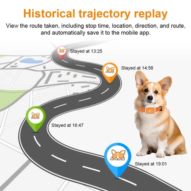 2025 GPS PET Locator with Waterproof IP66 Real Time Tracking and SOS ...