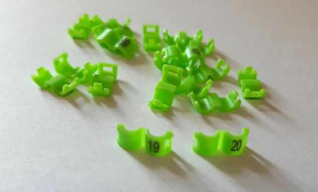 20X BORDER GLOSTER FIFE JAVA SPARROW MULE RED CANARY LEG RINGS SPLIT ...