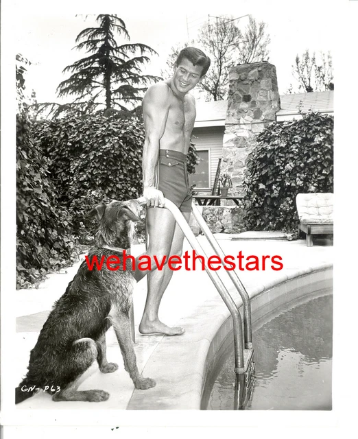 VINTAGE GEORGE NADER BEEFCAKE HAIRY CHEST SWIMSUIT 50s Publicity ...