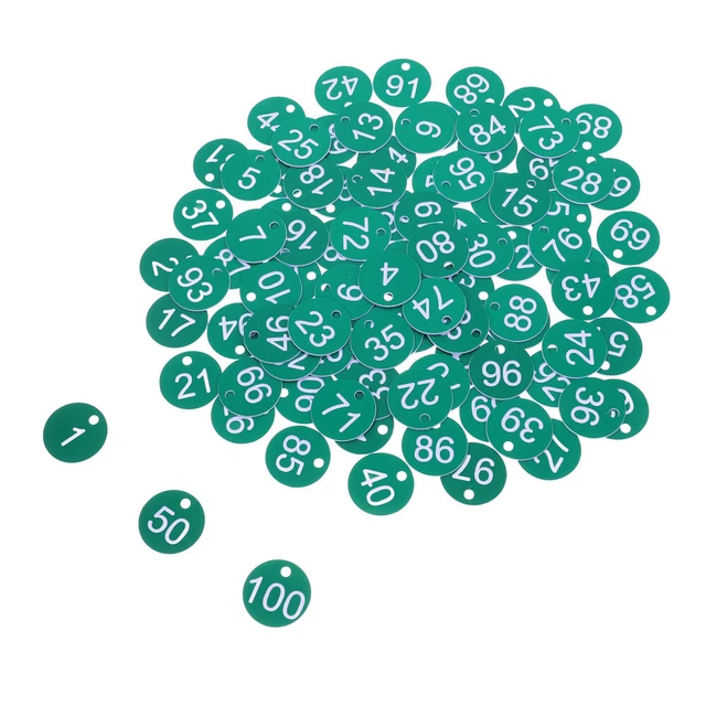100PCS NUMBERED TAGS With Holes Round Number Labels Numbered Plastic ...
