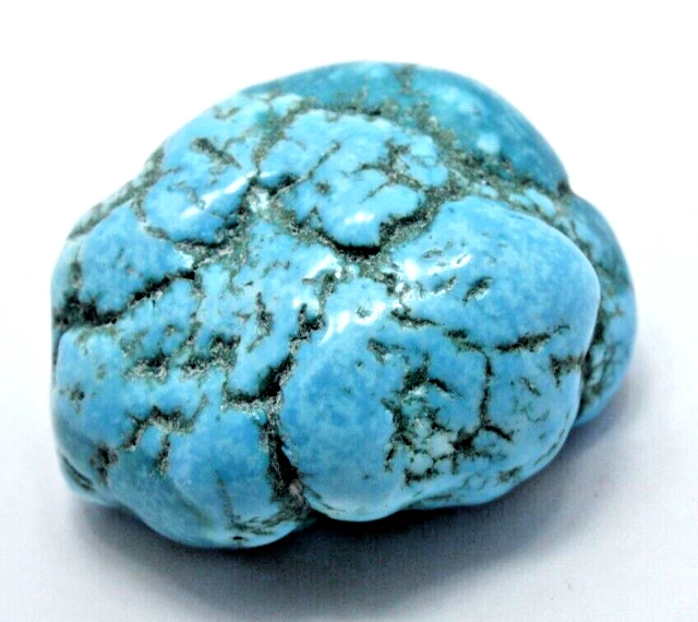 PIERRE PRÉCIEUSE TURQUOISE 254,65 ct Afghanistan bleu brut naturel ...