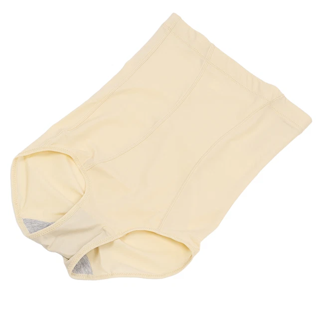 (SKIN COLOR LWOMEN Underwear Ice Silk High Waisted Tummy Control Panty ...