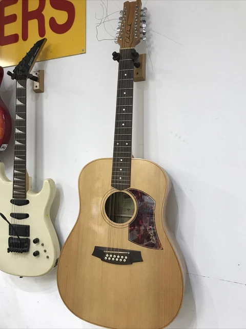 COLE CLARK ACOUSTIC Guitar FLIA-12 12 Strings with hard case $1,500.00 ...