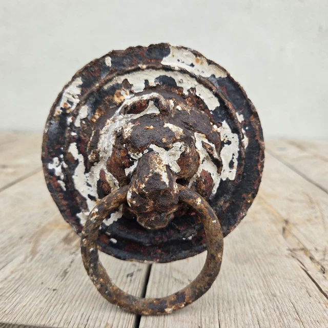 ANTIQUE LIONS HEAD Horse Tethering Ring Stable Equestrian Cast Iron £80 ...