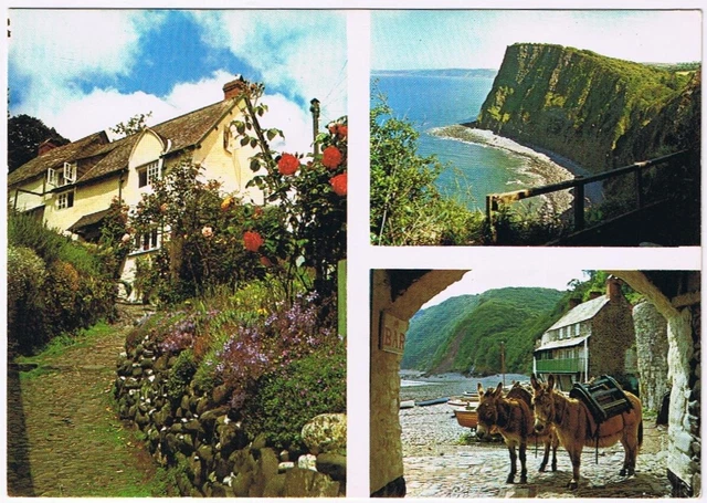 CARTE POSTALE NORTH Hill Gallantry Bower Crazy Kate's Cottage Clovelly ...