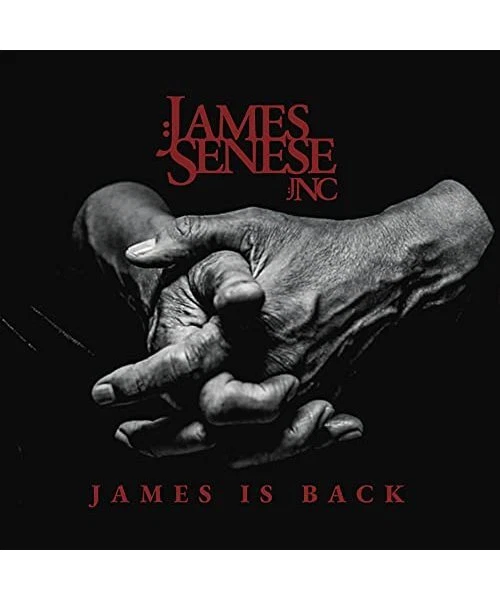 JAMES IS BACK, Senese James - Jnc EUR 21,97 - PicClick FR
