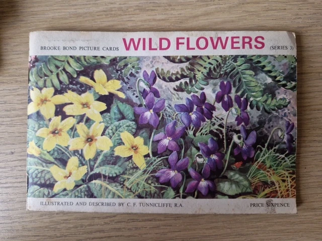 VINTAGE WILD FLOWERS - Brooke Bond PG Tips Picture Cards COMPLETE SET £ ...