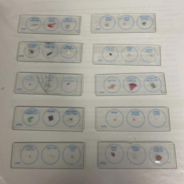 PREPARED MICROSCOPE SLIDES Plant And Animal Tissue Tasco #1460K Japan £ ...