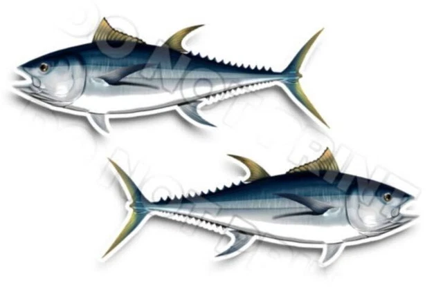 RV DECALS ALBACORE Tuna Fish Stickers 24" Boat Graphic Decals Fishing ...
