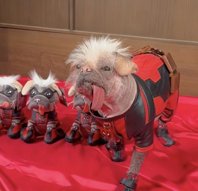 DOGPOOL PLUSH DEADPOOL Dog Plush Toy Marvel Movie Dogpool Plush NEW ...