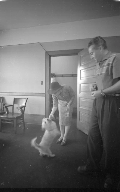 LOT (5) 1959 LEE REMICK In ANATOMY OF A MURDER avec négatifs originaux ...