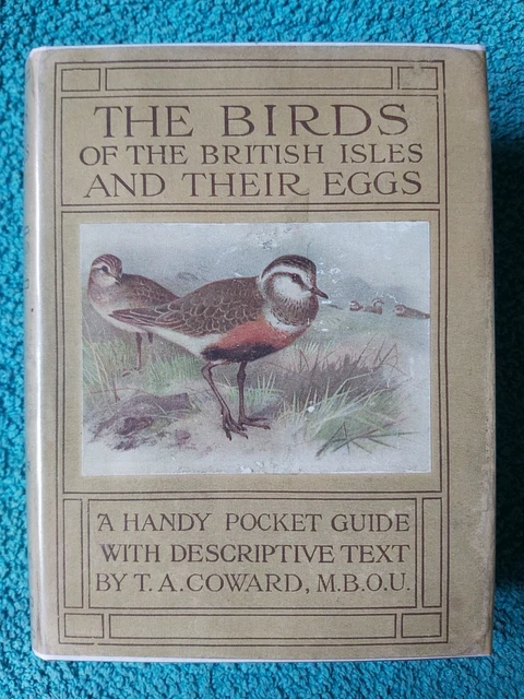 WAYSIDE & WOODLAND Birds, Série 11, rare photocopié DJ, DW, Doterel ...