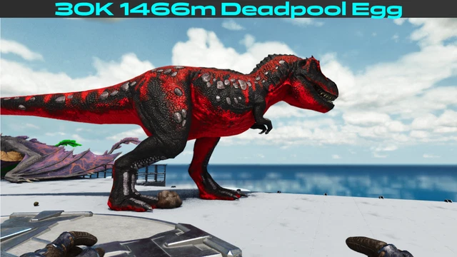 ARK SURVIVAL ASCENDED PVE TOP STATS DP Rex Egg 1466 MEELE PC/XBOX/PS5 ...