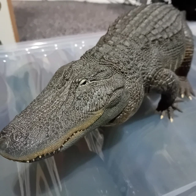 REBOR ALIGATOR BASKING Figure Model Statue Collectible £42.63 - PicClick UK