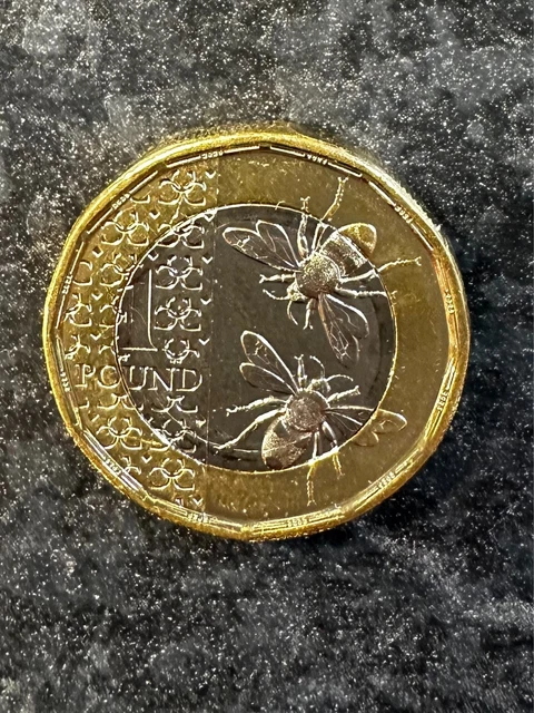 2025 BEE KING Charles £1 One Pound Coin uncirculated sealed bag 20 ...