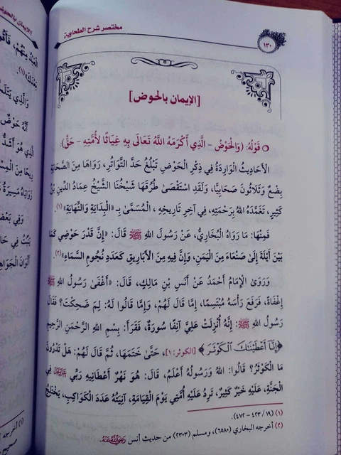 ISLAM-KORAN-SUNNAH- مختصر شرح العقيدة الطحاوية EUR 9,90 - PicClick DE