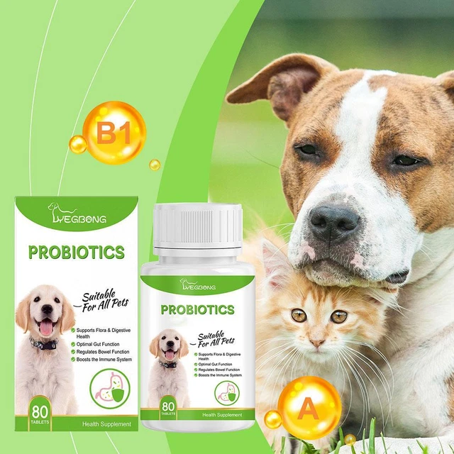80PCS PET PROBIOTIC For Cats Digestive Health Supplement Probiotic ...