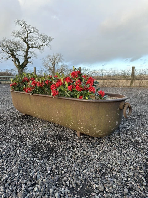 LARGE 19TH CENTURY Cast Iron Water Trough Planter Garden Feature £695. ...