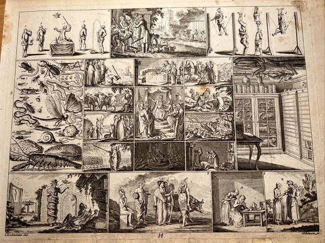 EGITTO CIRCO INSECKÖNIG 1784 Illustrazione con incisione antica Design ...