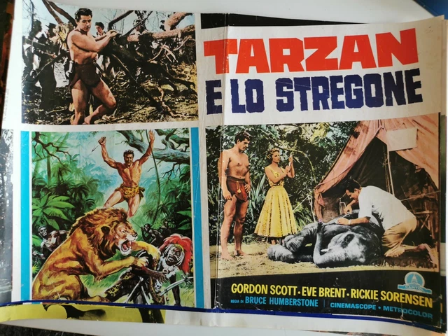 FOTOBUSTA TARZAN E Lo Stregone Gordon Scott, Eve Brent, Rickie Sorensen ...
