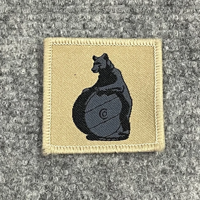 UK BRITISH ARMY Surplus Issue 10 Signal Regiment Woven Trf Flash Patch ...