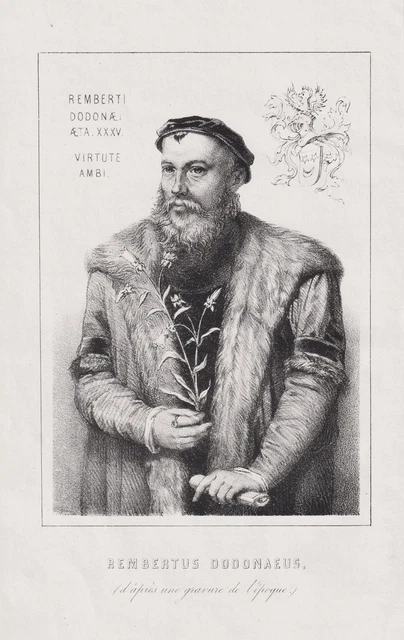 REMBERT DODOENS BOTANIST Botaniker Arzt physician Lithographie Portrait ...