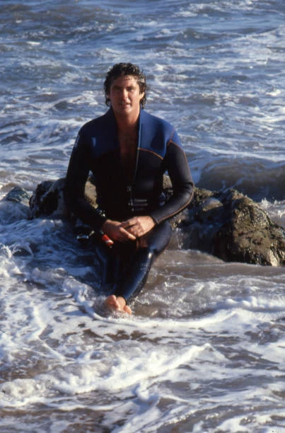 DAVID HASSELHOFF POSES wearing a wet suit on the beach in 1981 in LA ...