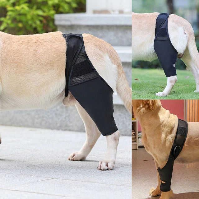 HUNDE HANDGELENK SCHUTZ Bandage Beinschutz für Haustiere Welpen Knieschoner Pet EUR 14,59 ...