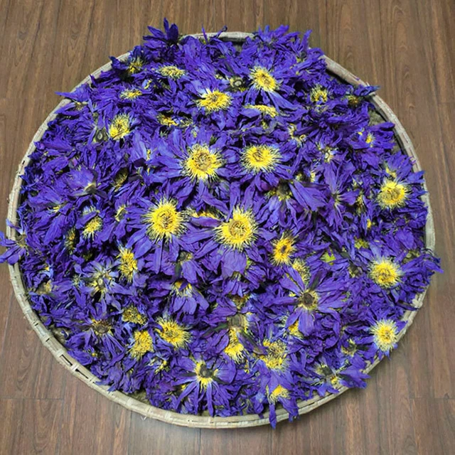 NYMPHAEA CAERULEA SAVIGNY 100g Dried Loose Blue Lotus Flower Herbal Tea ...