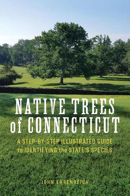 NATIVE TREES OF Connecticut: A Step-by-Step Illustrated Guide to ...