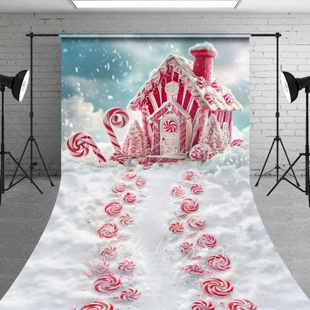 LOFARIS RED GINGERBREAD House Sweep Backdrop, Candy Cane Lane ...