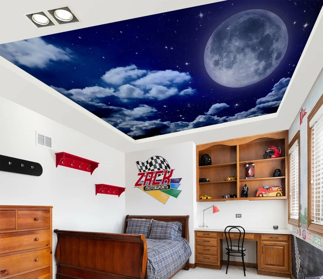 3D MOON STARS A252 Ceiling WallPaper Murals Wall Print Decal Deco AJ ...