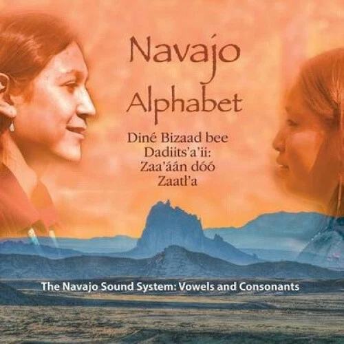 NAVAJO ALPHABET: THE Navajo Sound System: Vowels and Consonants £20.84 ...