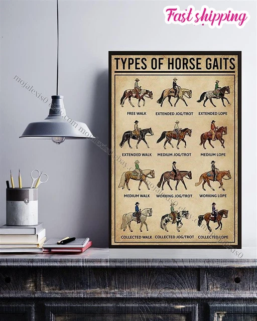 TYPES OF HORSE Gaits Un Knowledge Art For Horse Rider Poster Wall Art types-of-horse-gaits-un-knowledge-art-for-horse-rider-poster-wall-art
