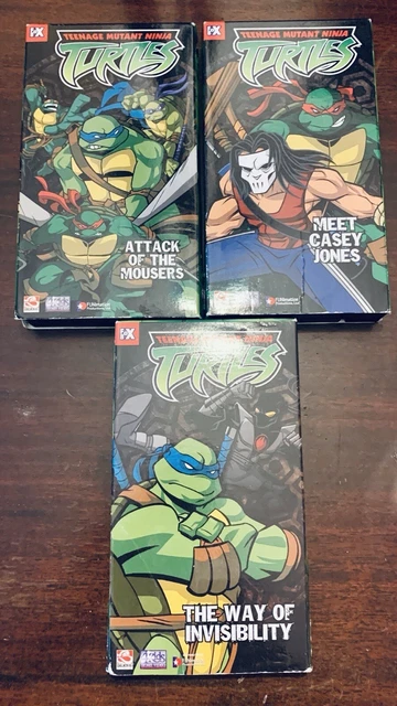 TEENAGE MUTANT NINJA Turtles 2003 VHS Lot (3) Cases Ok Shape. TMNT ...