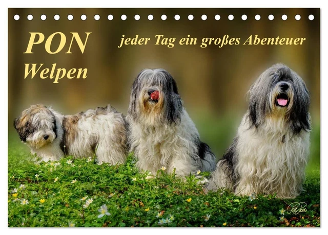 PON - WELPEN, jeder Tag ein großes Abenteuer (Tischkalender 2025 DIN A5 ...