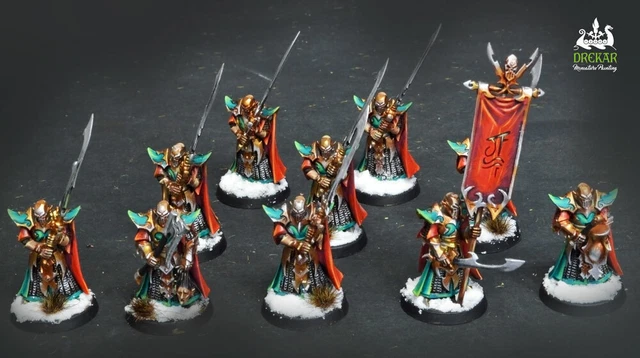 EXECUTIONERS DARK ELF - Darkling coven ** COMMISSION ** peinture EUR ...